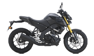 Welcome to Hong Leong Yamaha Motor | MT-15
